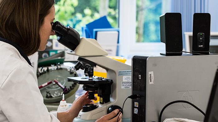 Faecal analysis | Liphook Equine Hospital | Ongoing Excellence