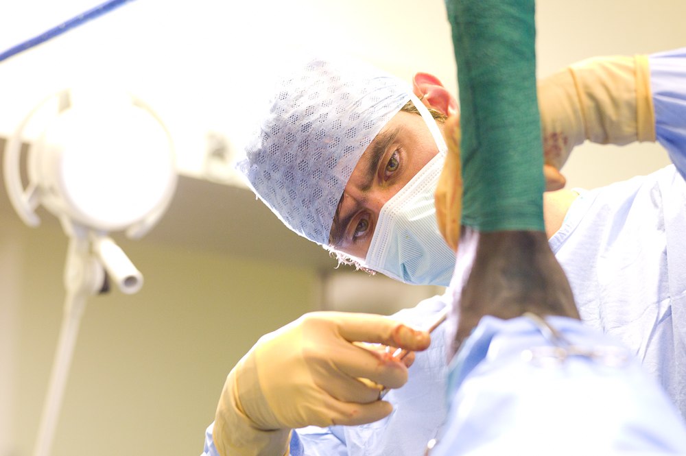 110804_liphook_0606 - Liphook Equine Hospital