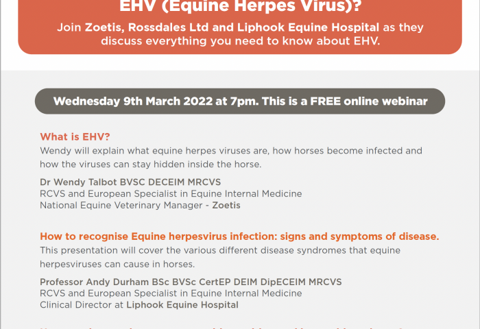 Laboratory | Liphook Equine Hospital | Ongoing Excellence