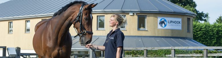 Hospital and Referrals | Liphook Equine Hospital | Ongoing Excellence