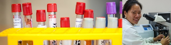 Haematology and biochemistry | Liphook Equine Hospital | Ongoing Excellence