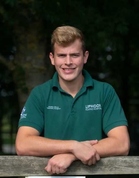 Equine Hospital Vets | Liphook Equine Hospital | Ongoing Excellence