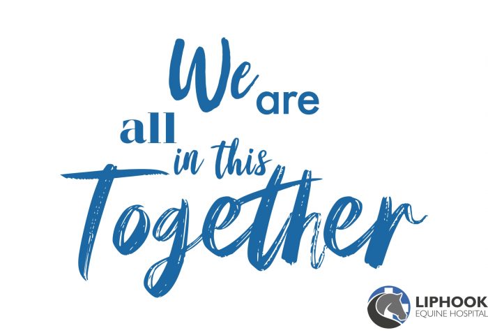 Laboratory | Liphook Equine Hospital | Ongoing Excellence