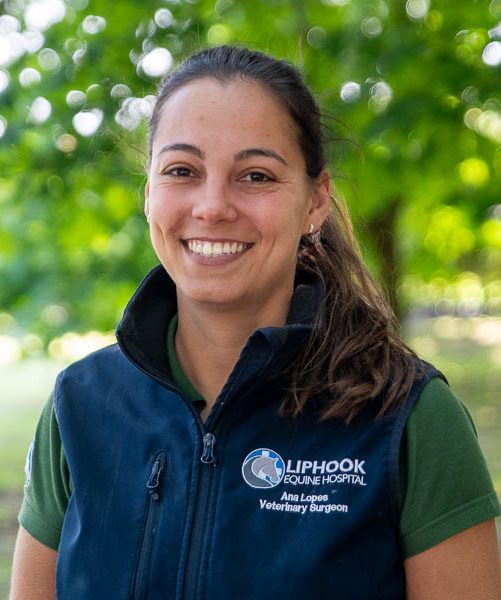 Equine Hospital Vets | Liphook Equine Hospital | Ongoing Excellence