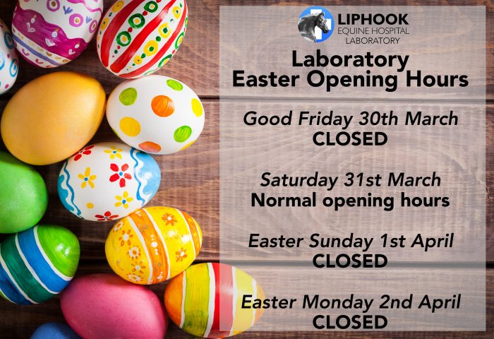 Laboratory | Liphook Equine Hospital | Ongoing Excellence