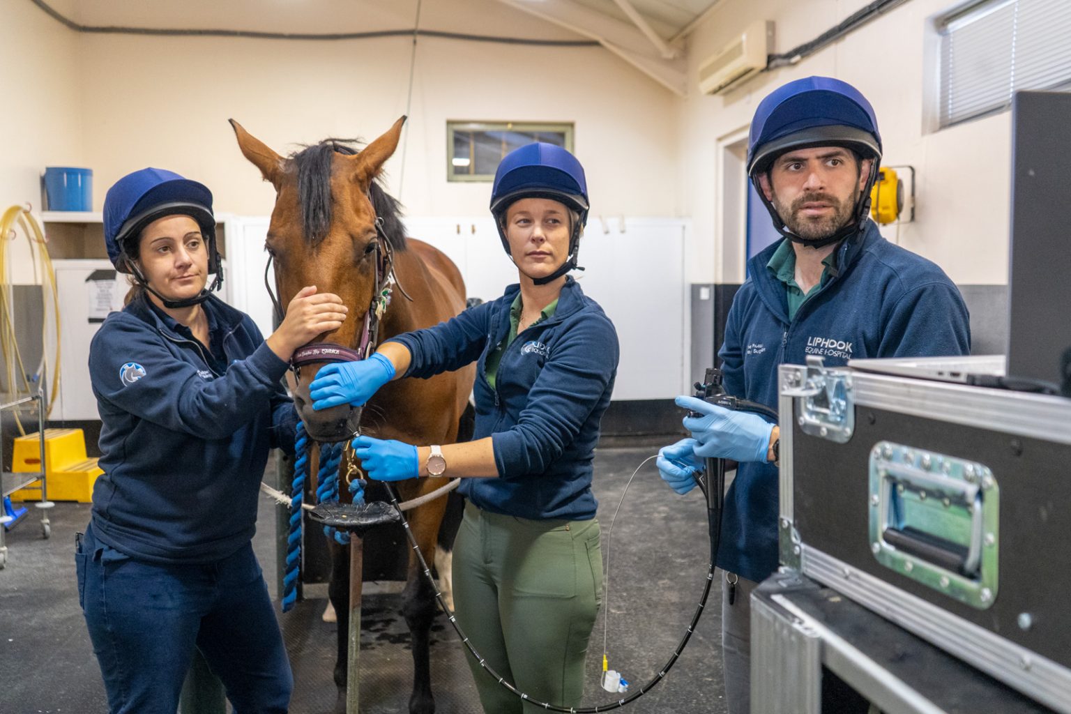 Essentials of Equine Practice - 17th – 19th June 2022 | Liphook Equine ...