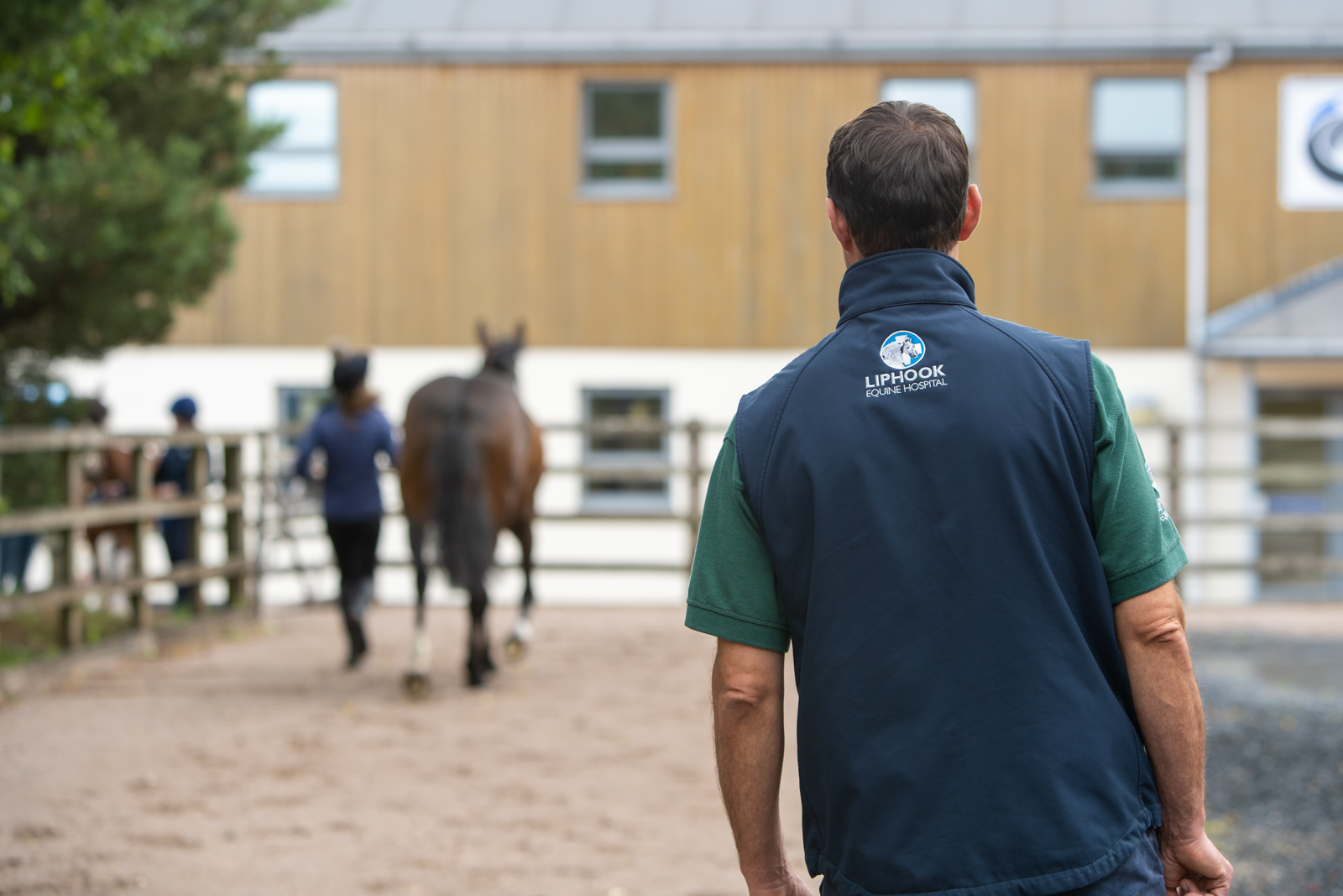 Laboratory Archives - Liphook Equine Hospital