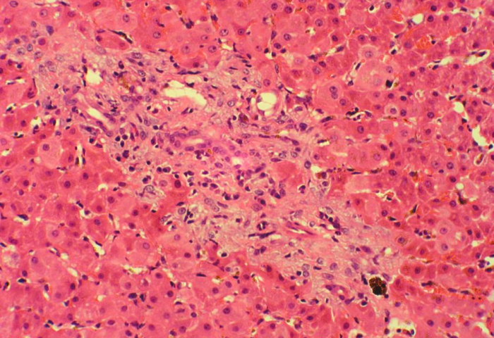 Laboratory | Liphook Equine Hospital | Ongoing Excellence