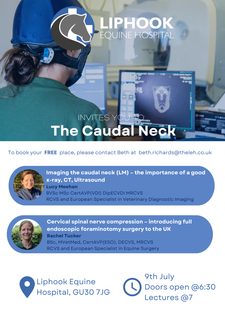 Veterinary physiotherapy CPD - Liphook Equine Hospital