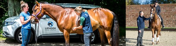 Veterinary Services | Liphook Equine Hospital | Ongoing Excellence
