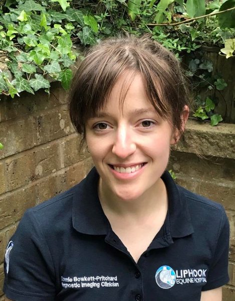 Equine Hospital Vets | Liphook Equine Hospital | Ongoing Excellence